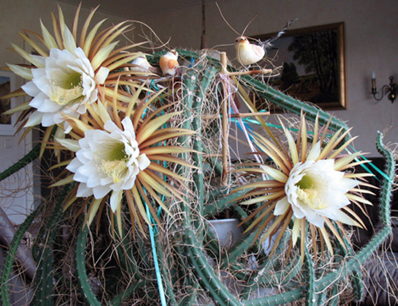 Blog Archives - herewfile